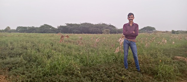 Effective Weed Management in Pakistan's Rural Areas | The Agricultural ...