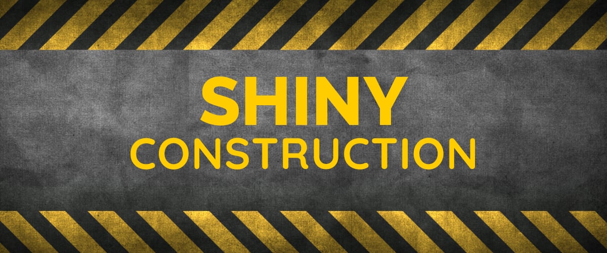 Shiny Construction: Building Dreams with Excellence | Shiny Construction