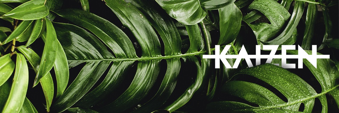 Inicio | KAIZEN Company© - Bilbao