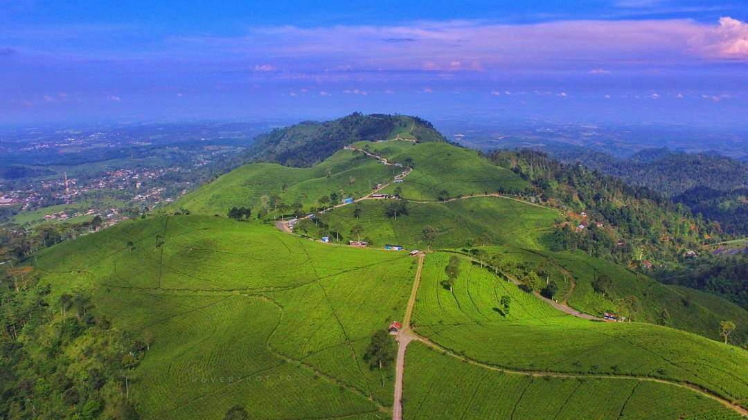 Desa Wisata Kemuning | Kemuning Adventure Land