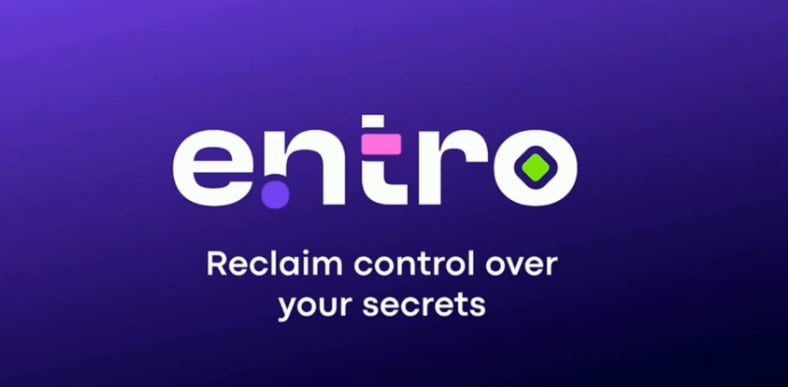 Understanding Entro Security