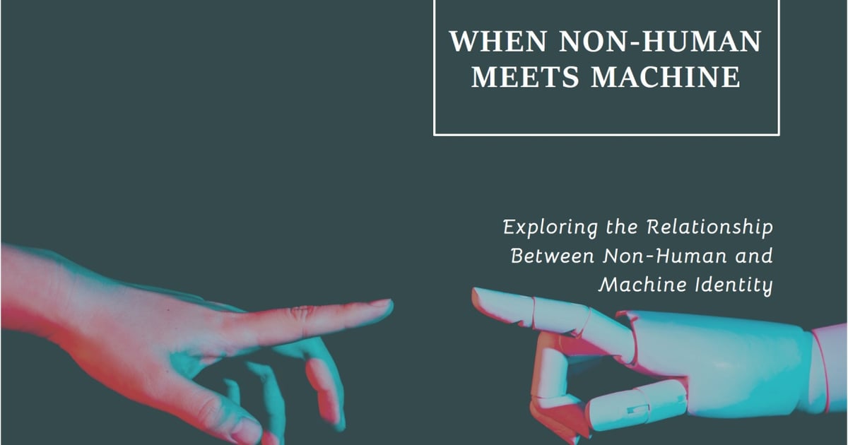 Non-Human Identity or Machine Identity?