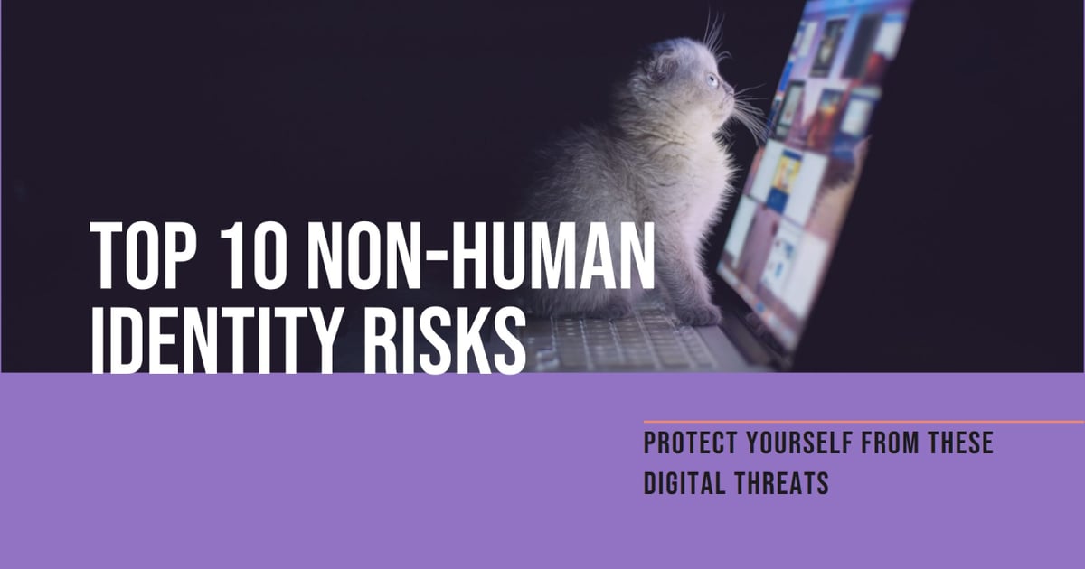 Top 10 Non-Human Identity Issues