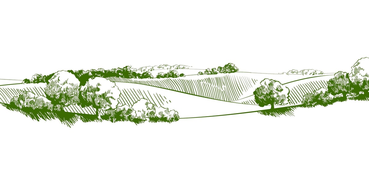 Nos services | Cavitec