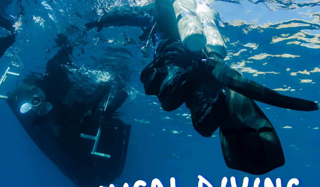 PADI Technical Courses - Sandy Beach Dive Academy (2024) | Sandy Beach ...