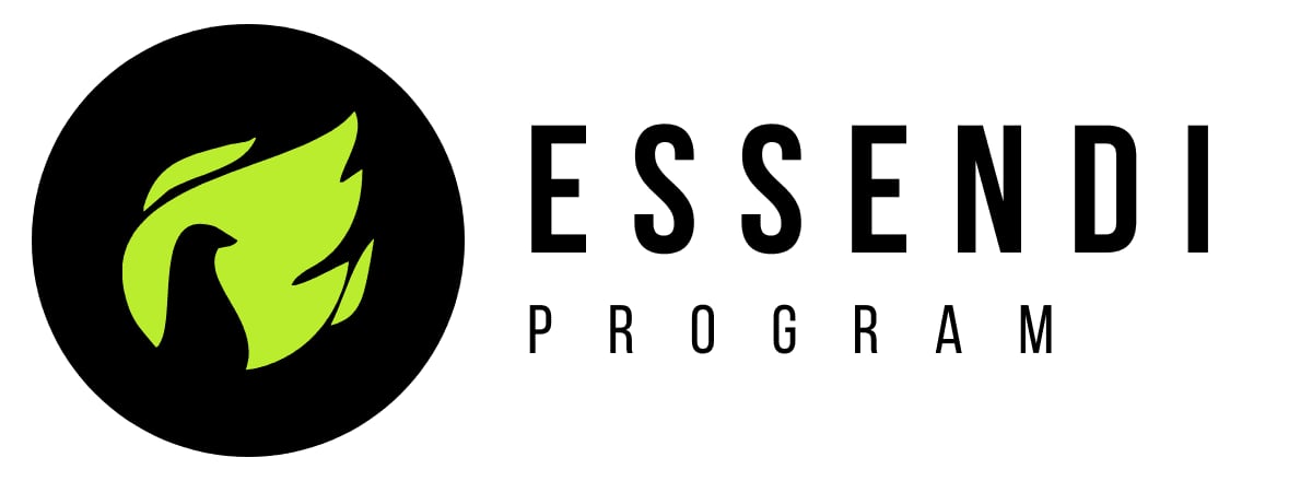 Plataforma Integrada de Cursos e Mentorias para Autotransformação ...