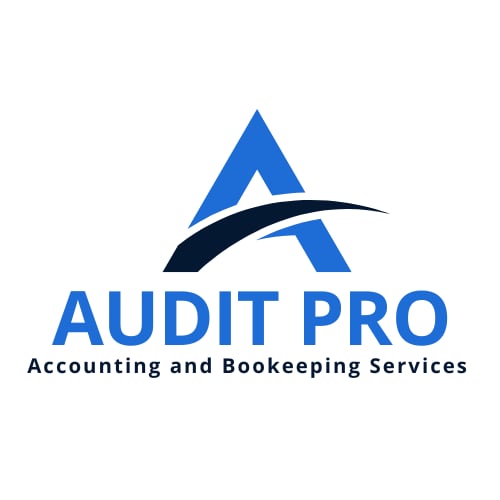Audit Pro - Home