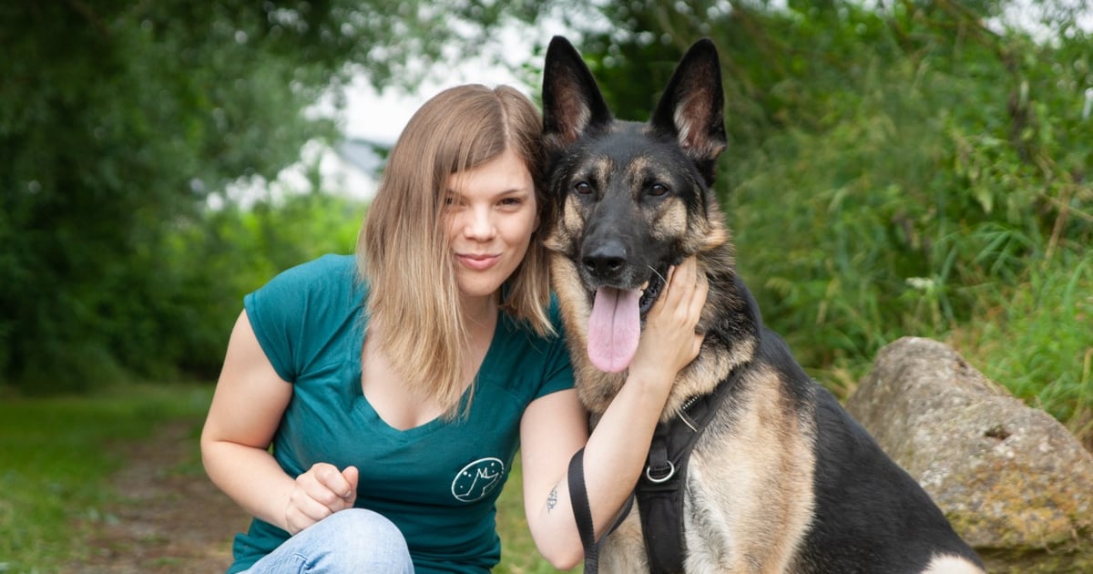 Comportementaliste canin : pourquoi le contacter ? | Lupi ...
