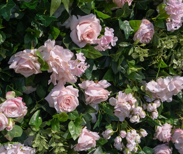 Pink and Perfect - Pink flower wall | Midwest Event Styling