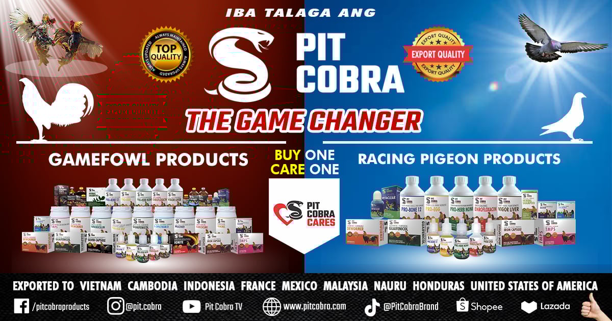 Shop Pit Cobra Philippines | Pit Cobra The Game Changer