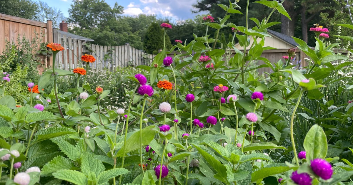 Garden Design and Garden Consulting in the Washington, DC metro area ...