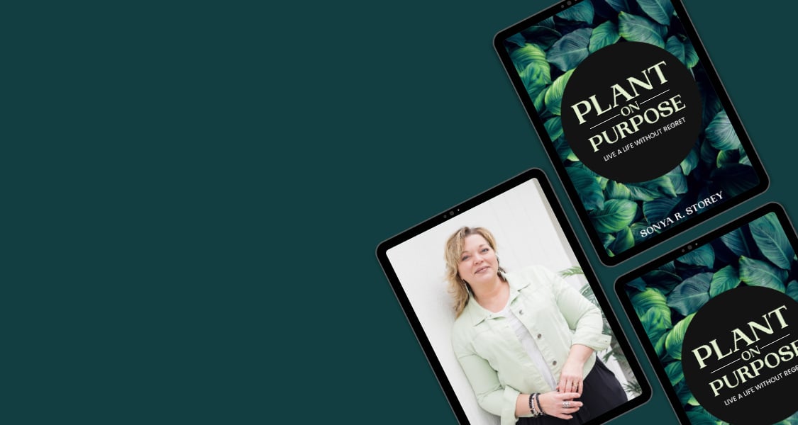 Home [sonyarstorey.com]