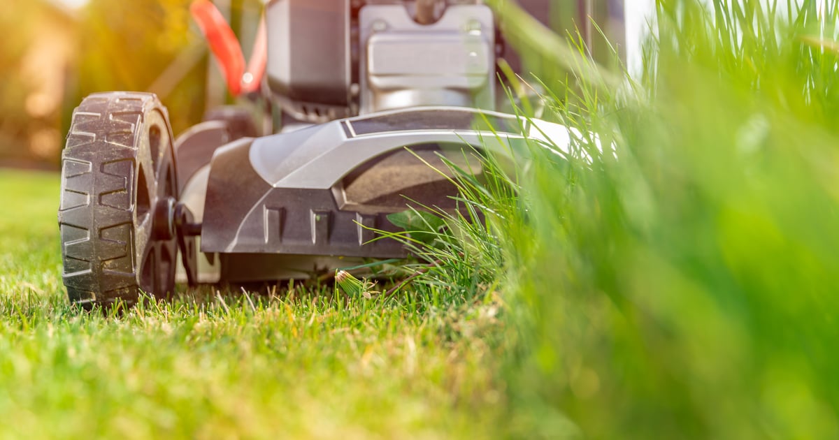 Premium Outdoor Equipment & Mowers at Sandgate Mowers | Sandgate Mowers ...