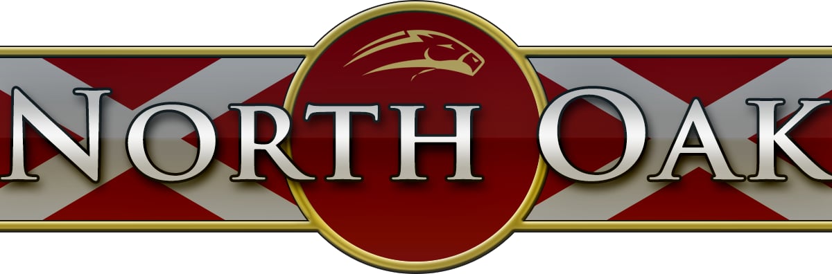 North Oak: The #1 bestselling LGBTQ middle grade horse racing series in ...