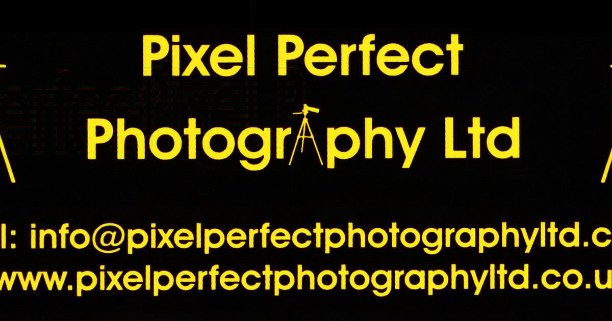 High-Quality, Pixel-Perfect Images for Weddings, Family Portraits, and ...
