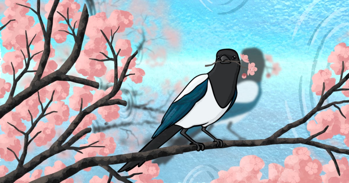 Home | Battle Cat Nap