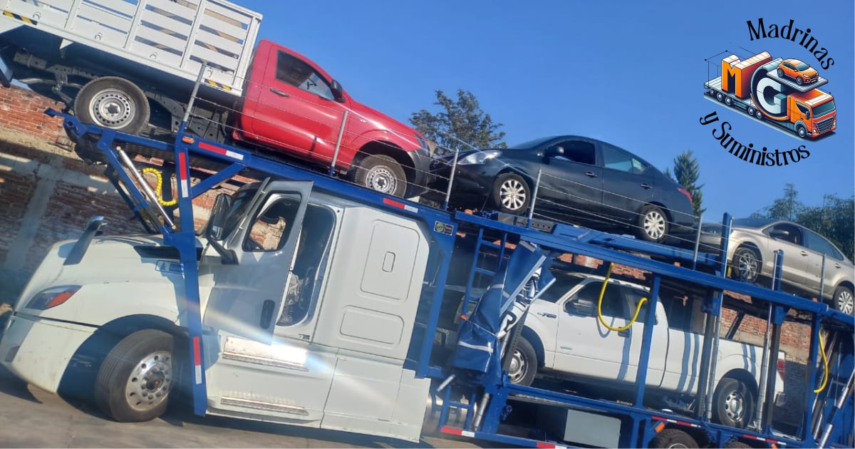 Madrinas y Suministros MG - Soluciones en Logística y Transporte ...