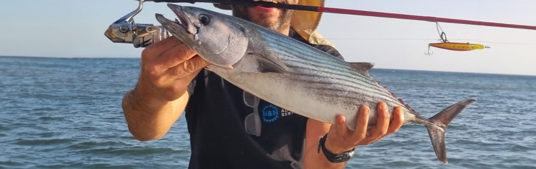 Ultimate Guide to Bonito Fishing in Madeira | Shore Fishing Madeira Club