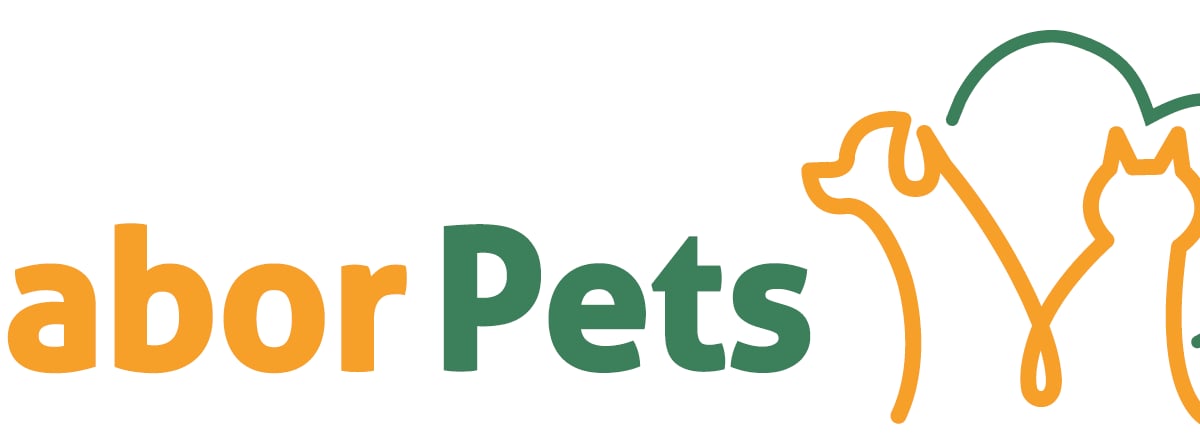 Snacks para mascotas innovadores y nutritivos en Sabor Pets | SABOR PETS