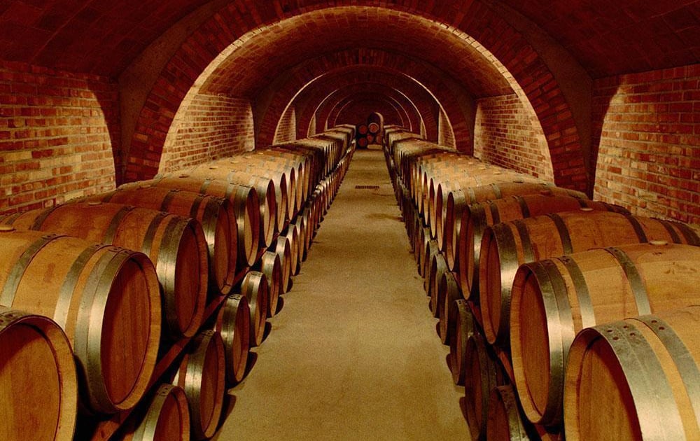 Bodegas Pinord: Tradición Centenaria y Excelencia Vinícola | BodegasG&P