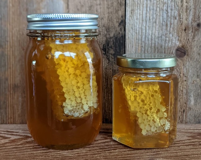 10 of the Most Interesting Facts About Bees & Honey | The Randle Round-Up