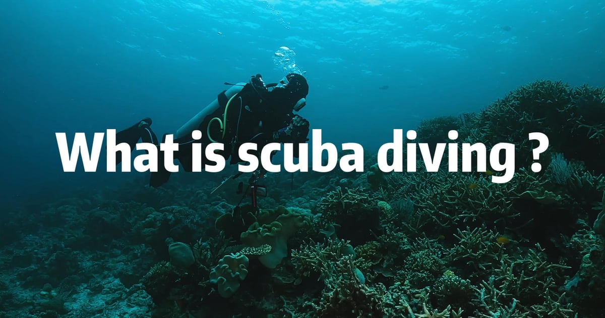 🤿What is Scuba Diving?🌊 | Louis Pung | Dive Instructor & Photographer