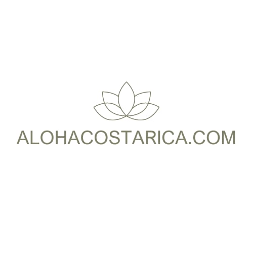 Nature-Inspired Rooms for a Relaxing Costa Rican Experience | Casa ...