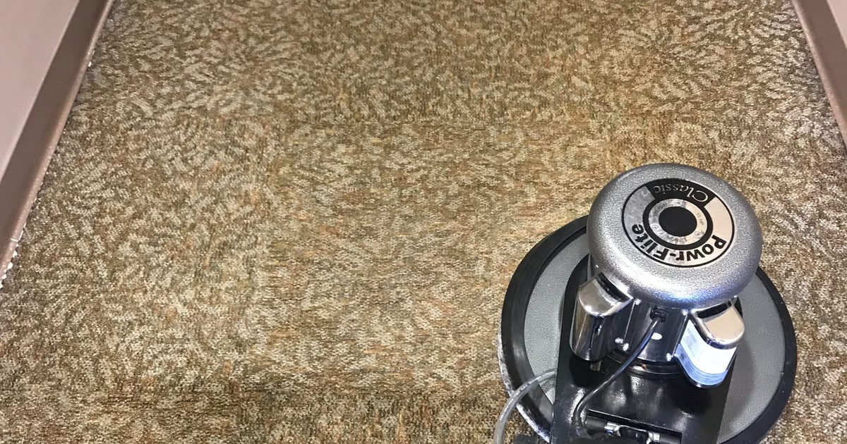 The Ultimate Guide to Commercial Carpet Cleaning in Ormond Beach ...