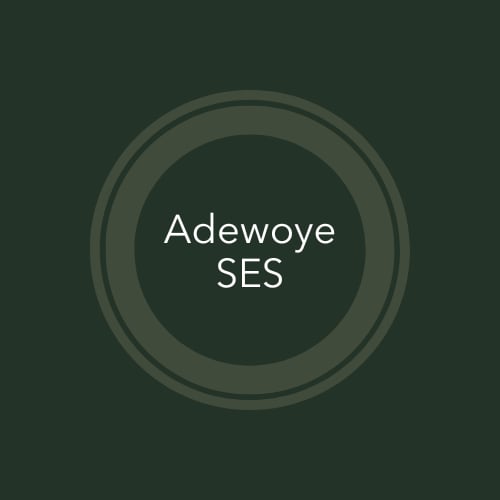 Exo méthode AEI | Site SES K.Adewoye