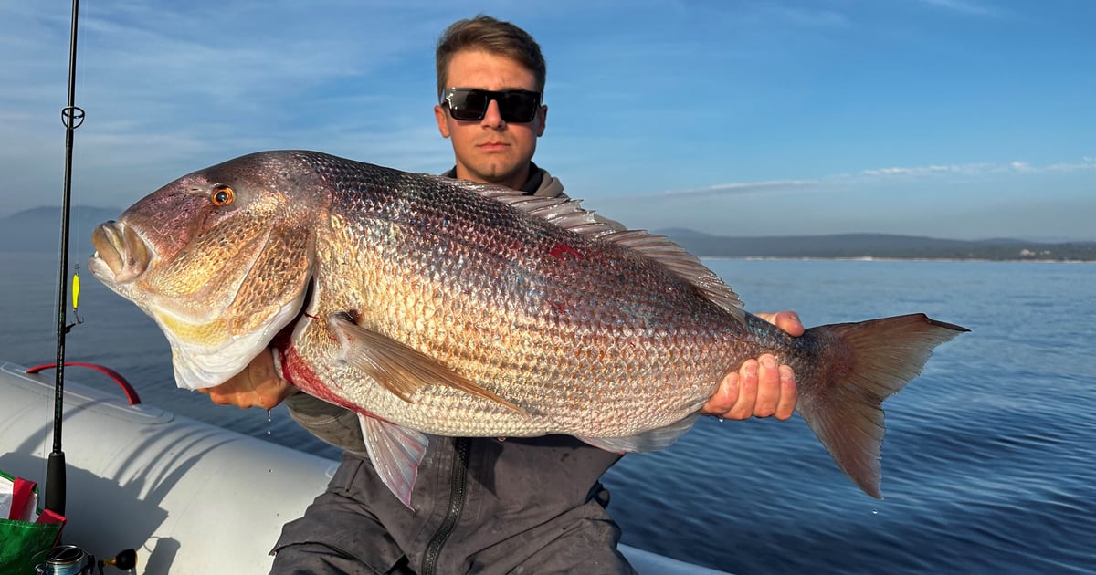 Services Fishing Charter Experience in Gulf of Trieste and Croatia ...