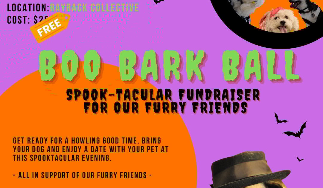 Photos from the 2023 Boo Bark Ball Event | Pet Photography | Boo Bark Ball