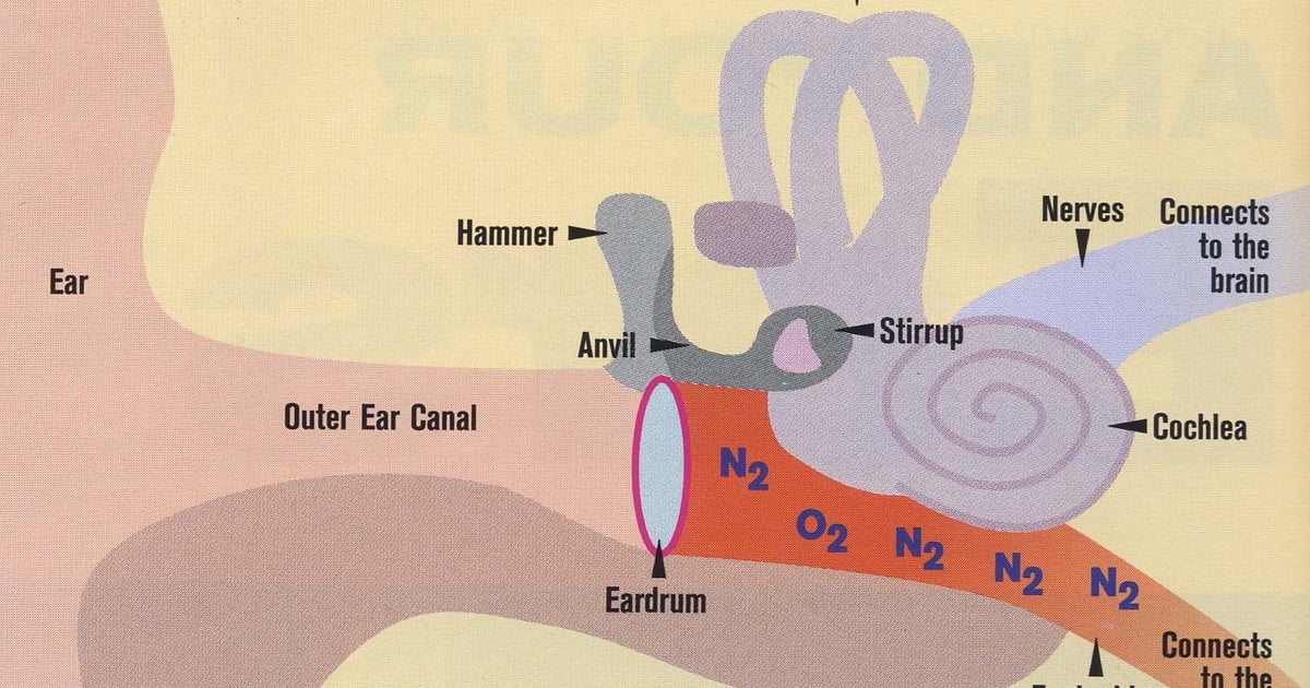 Article Oxygen and Your Ears | Jeff Bozanic's Website