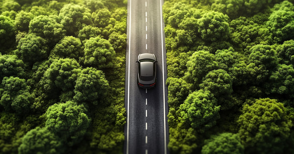 Ce trebuie să știi despre conducerea ecologică? | Cledd Auto