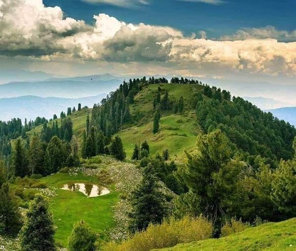Miranjani vs. Mushkpuri: The Ultimate Hiking Guide to Galyat's Top ...