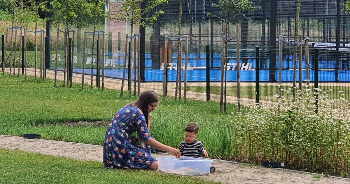 Sensorinio sodo įrengimo pagrindiniai principai: