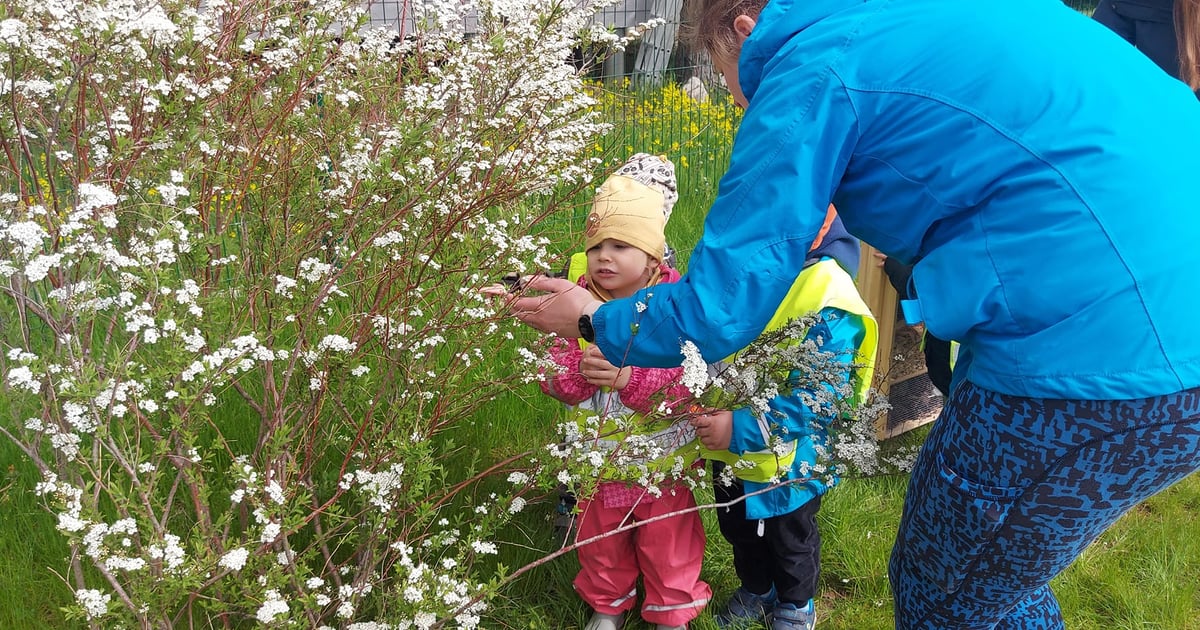 Užsiėmimo sensoriniame sode eiga: