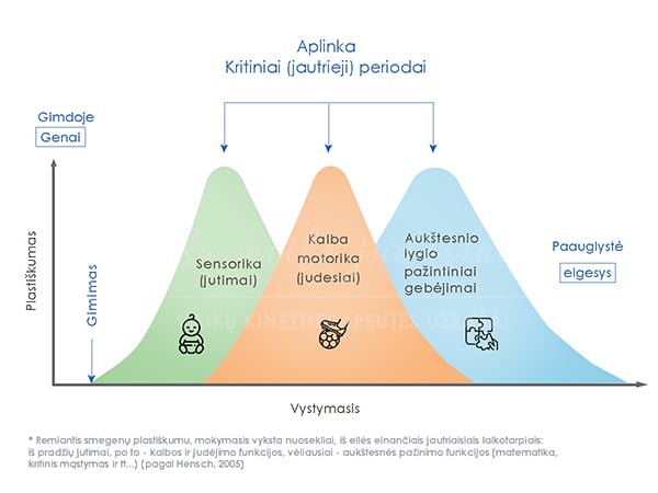 Vaikų raidos gairės, skriningo ir diagnostiniai testai (I dalis ...