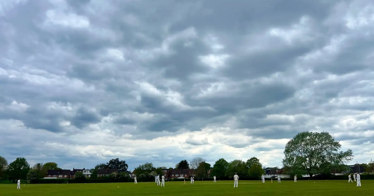 WCCC vs Hampton Hill CC | Wealdstone Corinthians Cricket Club