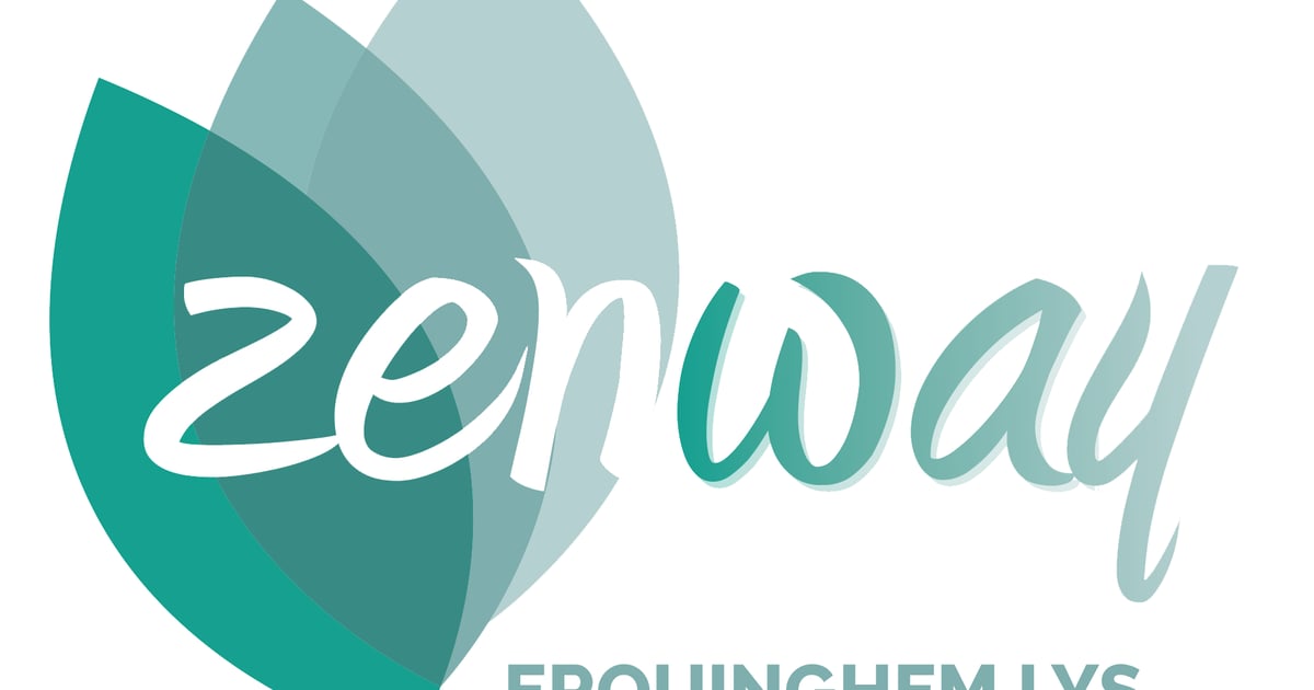 Enseignement du Zenway dans les Hauts de France (Nord 59) | Club ...