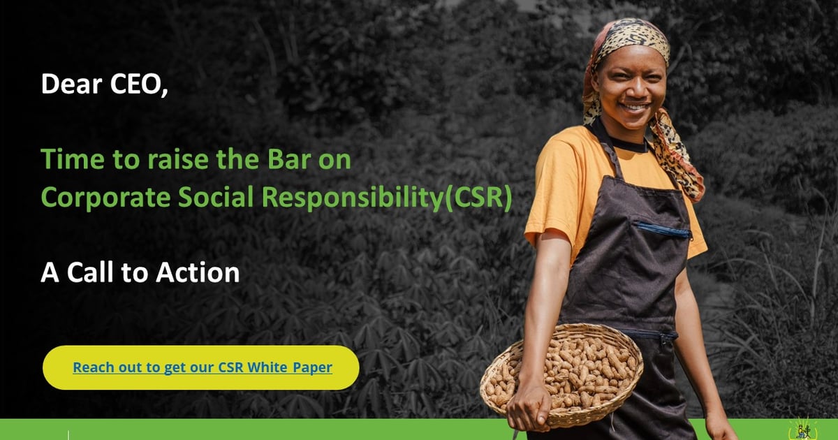 Raising the Bar on Corporate Social Responsibility (CSR): A Call to ...