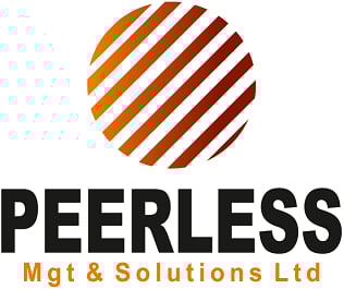 Home [peerlessng.com]