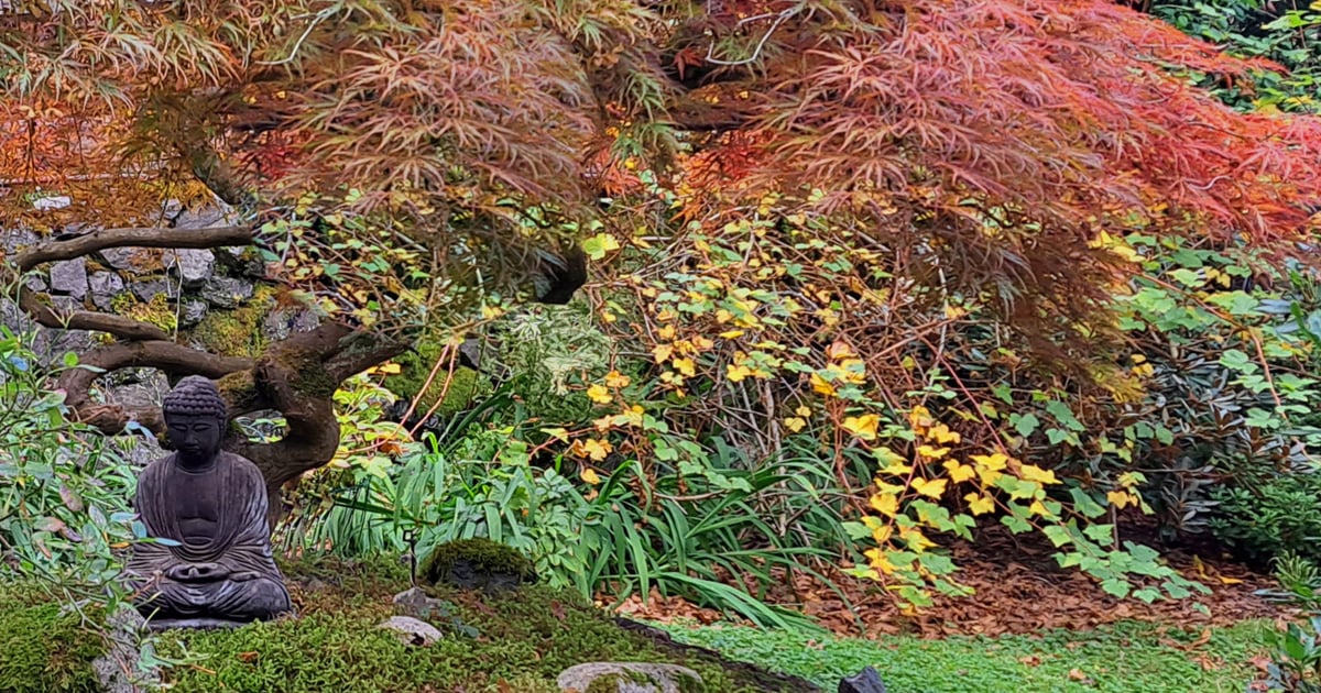 Practical Zen Blog: Explore Zen Buddhist Practice in Everyday Life ...