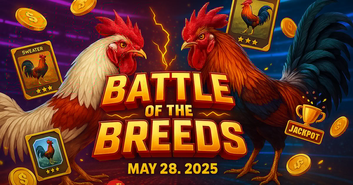 May 28, 2025 Update: ACF SABONG Presents “Battle of the Breeds” – Live ...