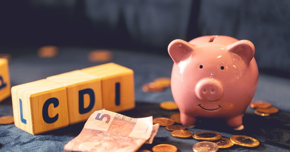 What is CDI? Everything You Need to Know About the Interbank Deposit ...