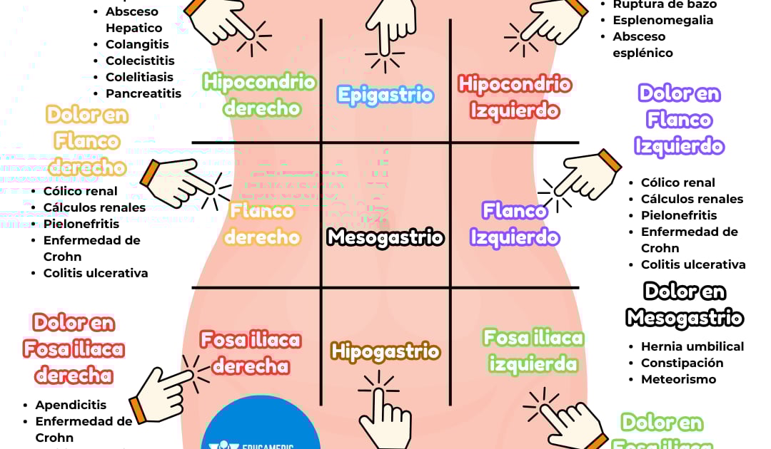 Guía Rápida para Identificar el Dolor Abdominal: Causas Comunes según ...