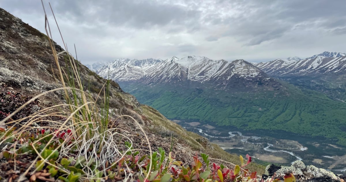 About | Northern Hope Counseling