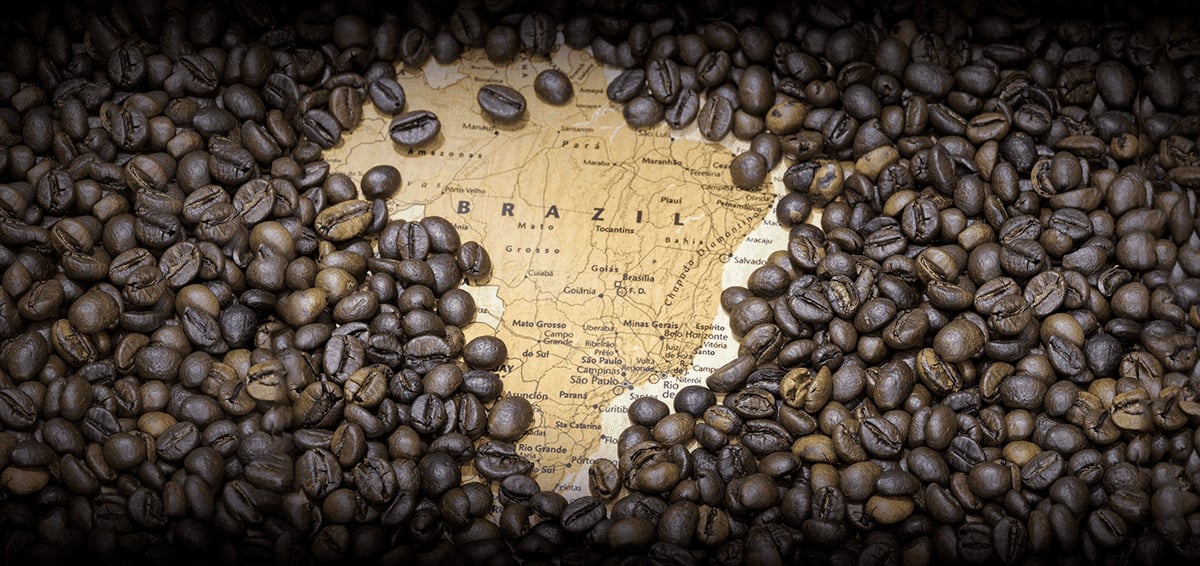 História do Café no Brasil: Da Fazenda à Xícara | Java Café e Conceito