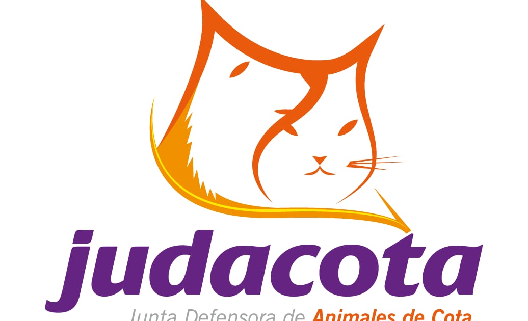 Participa en la protección y bienestar animal en Cota | Junta Defensora ...