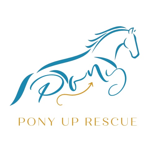 Pony Up Rescue - Horse Rescue for Slaughter Pipeline Horses | Pony Up ...