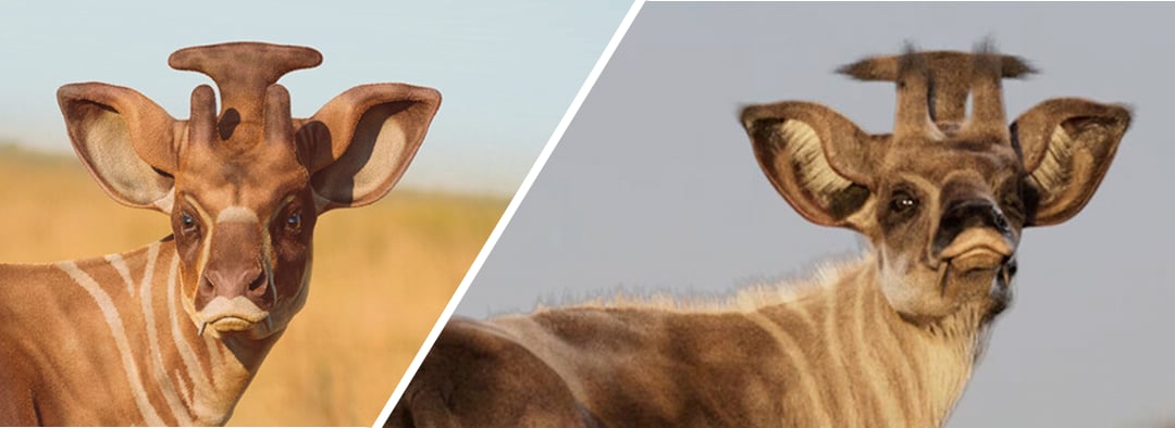 Advanced Lookdev and 3D Rendering Course | Improve Your Render